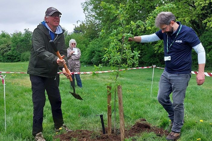 An oak fit for a King planted to mark Coronation | | Three Rivers ...